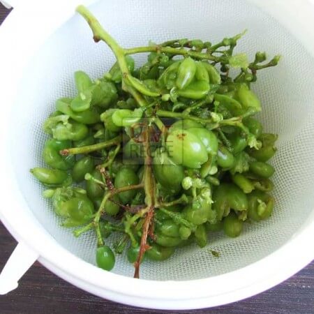 Homemade Fresh Verjuice - Give Recipe